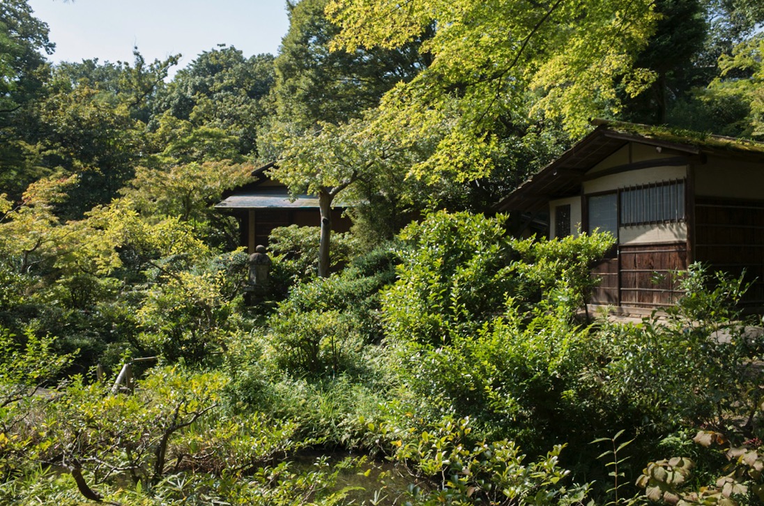 Tokyo: Nezu Museum – bluebalu