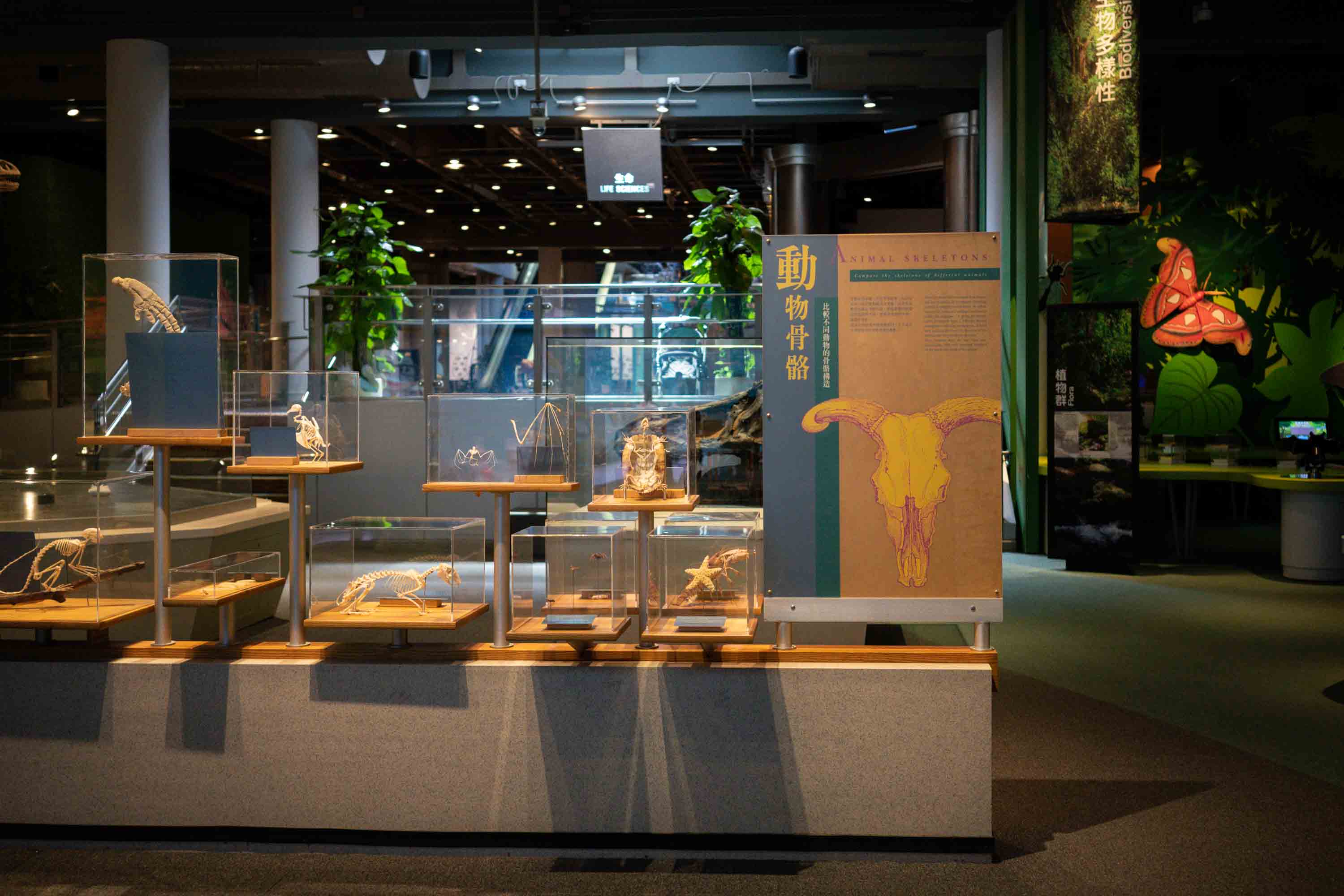 Hong Kong Science Museum – bluebalu